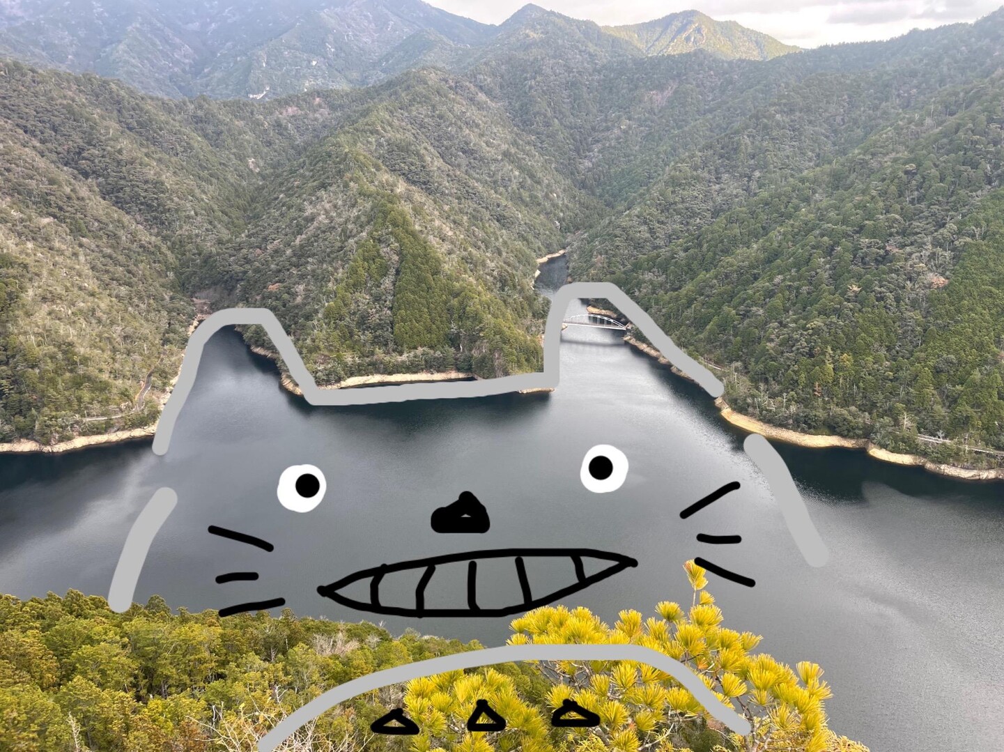 宇連アルプスのトトロ🍃 / Mikarinさんの宇連山・鳳来寺山・岩古谷山の活動データ | YAMAP / ヤマップ