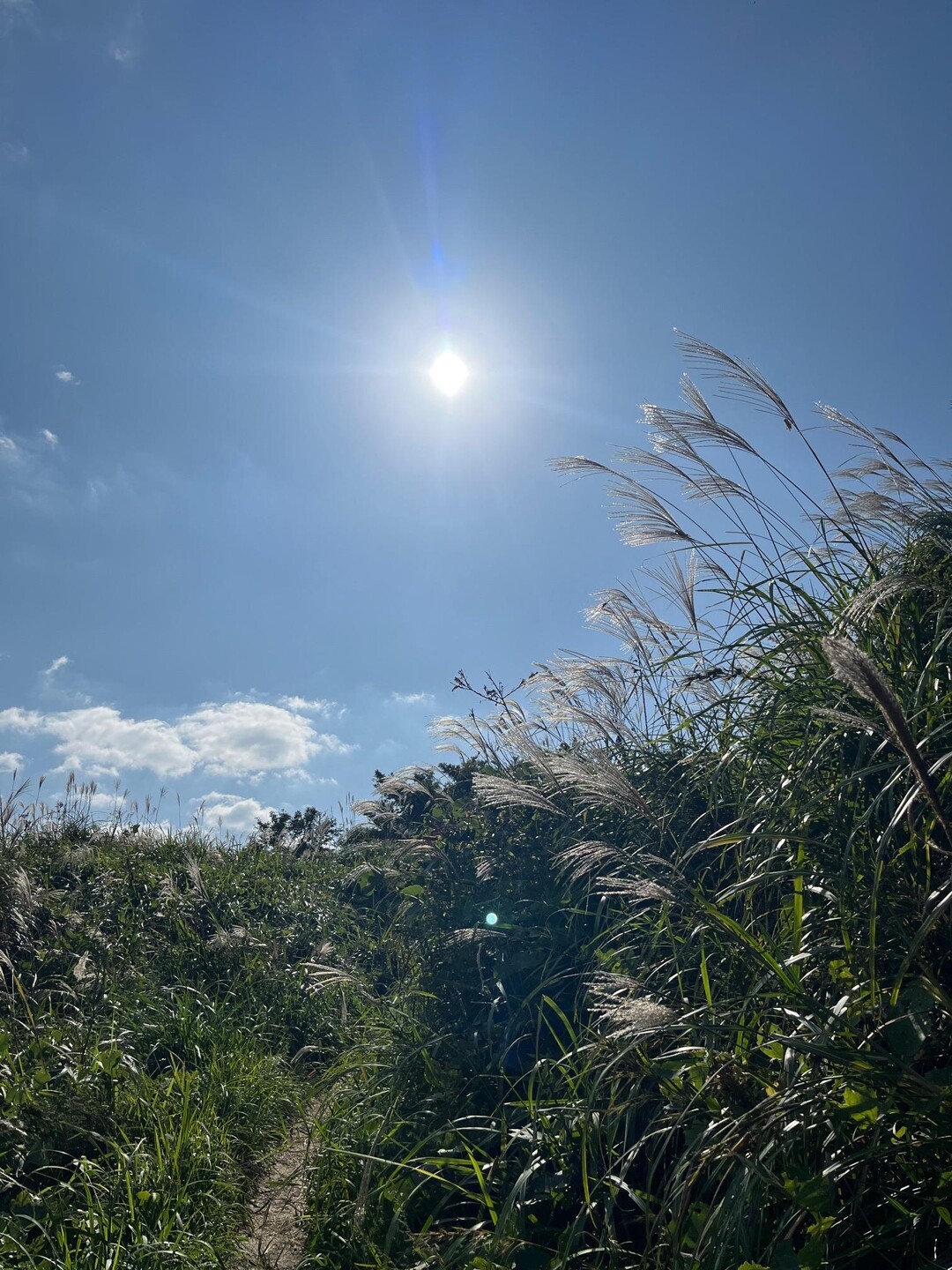 基山 / MM45さんの天拝山・基山の活動データ | YAMAP / ヤマップ