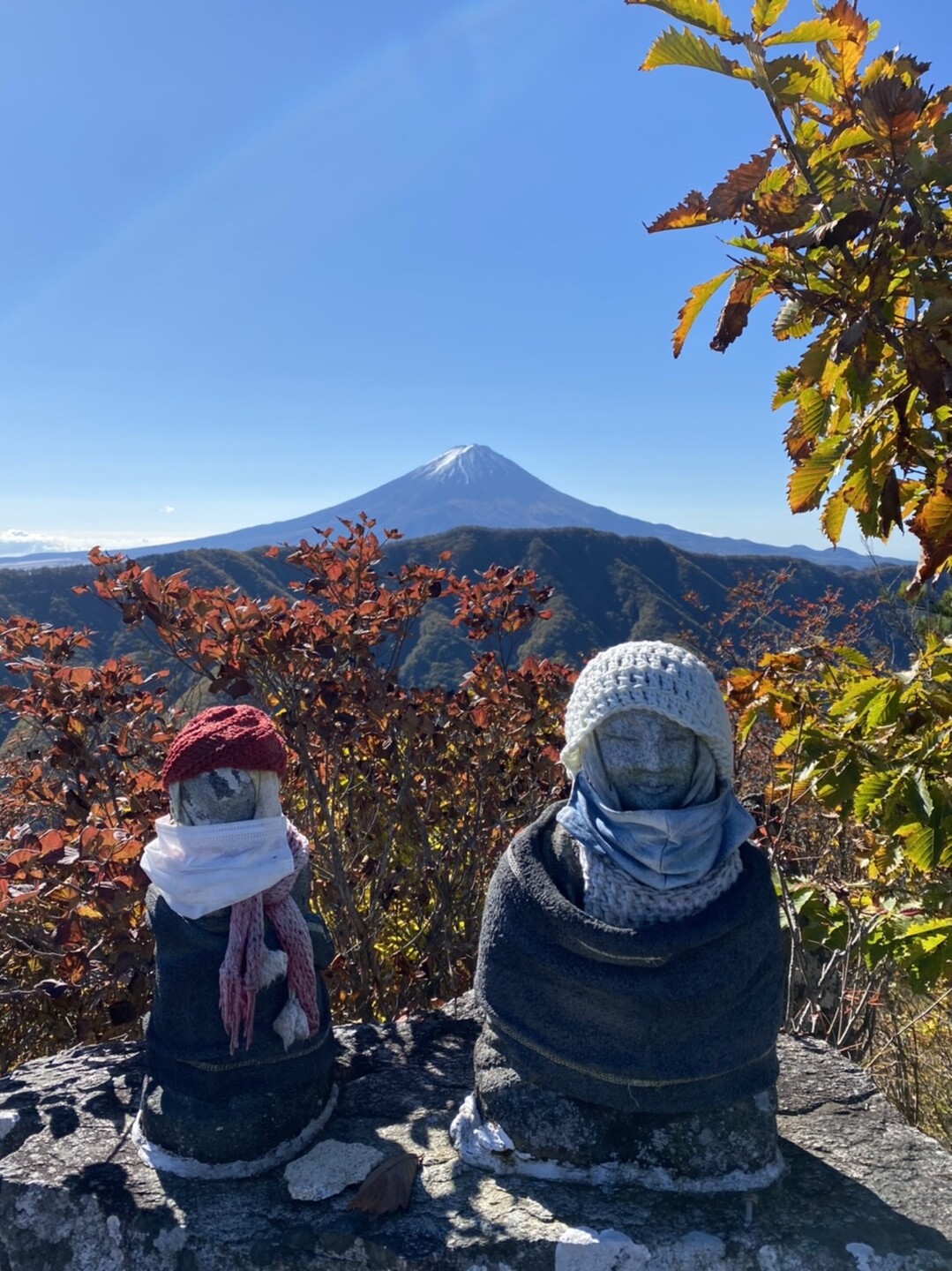 釈迦ヶ岳〜黒岳は時間切れ / ShizCさんの釈迦ヶ岳・大栃山の活動日記 | YAMAP / ヤマップ