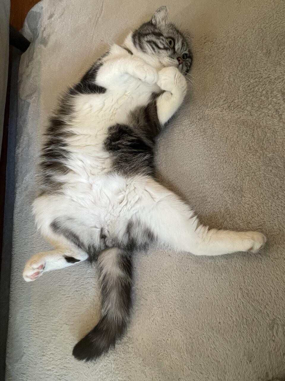 デブって言うなのページ | YAMAP / ヤマップ