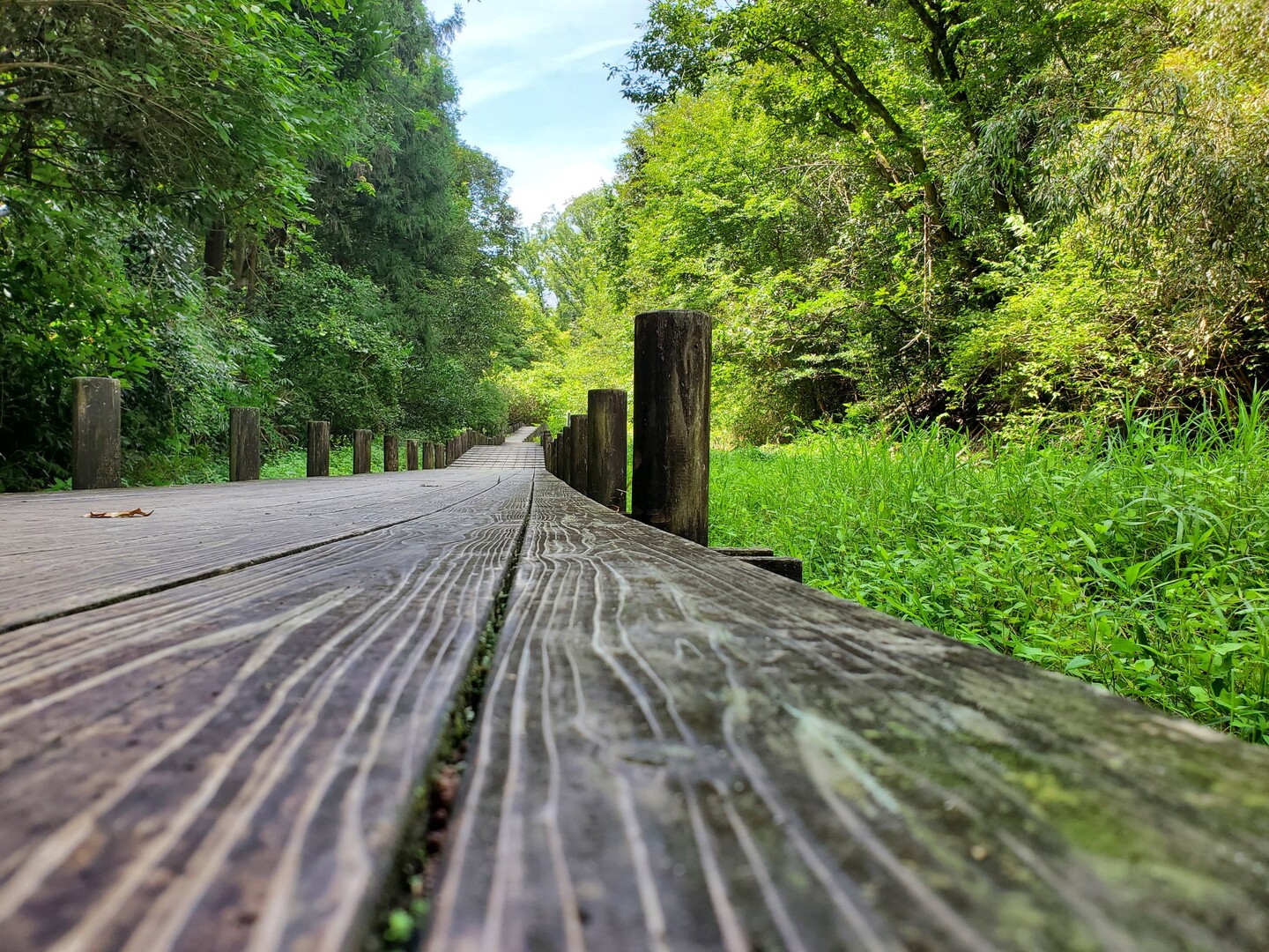 🔥猛暑🔥のチャレンジ TTT🔥生駒全山縦走 高尾山・高安山・横峰山・大原山・鬼取山・生駒山・交野山・国見山 / ごりさんの生駒山・神津嶽・大原山の活動データ | YAMAP / ヤマップ