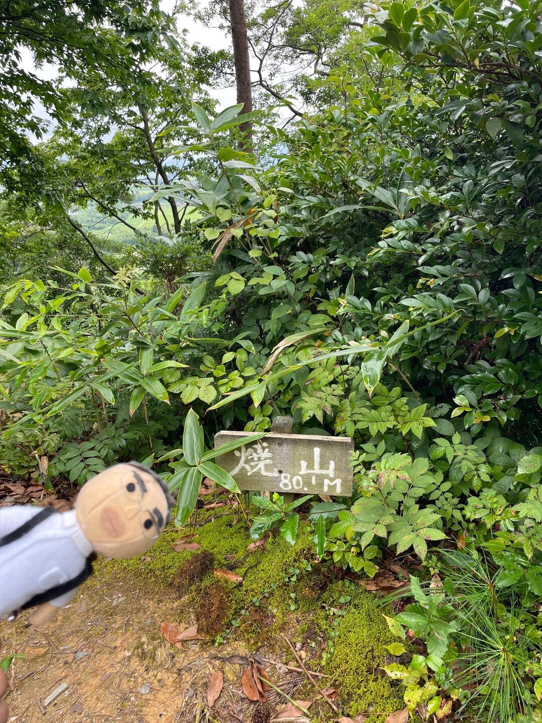 焼山 / Takayuki Sakaiさんの五十公野山の活動データ | YAMAP / ヤマップ