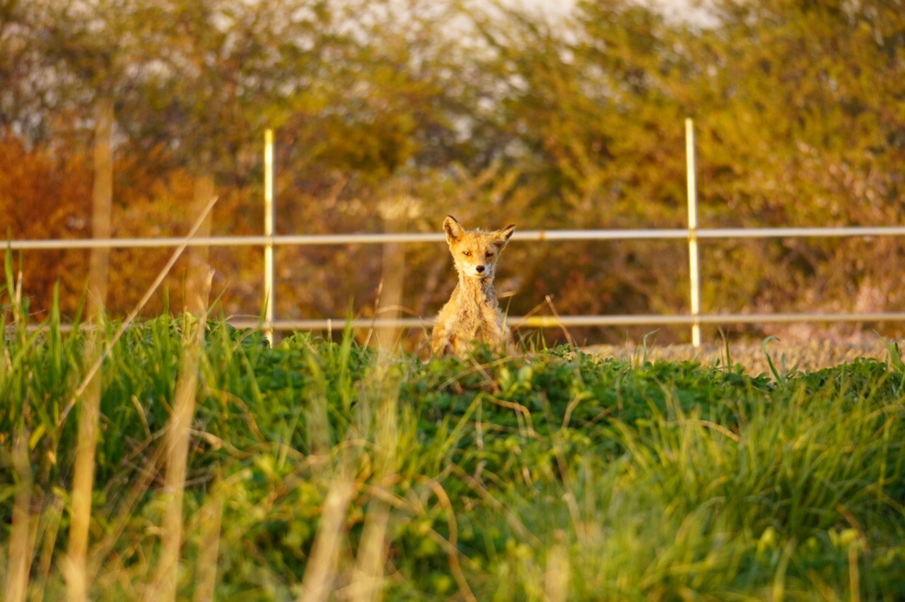 goemonのページ | YAMAP / ヤマップ
