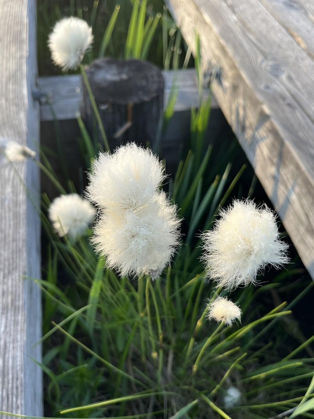 natu の登頂した山一覧 | YAMAP / ヤマップ