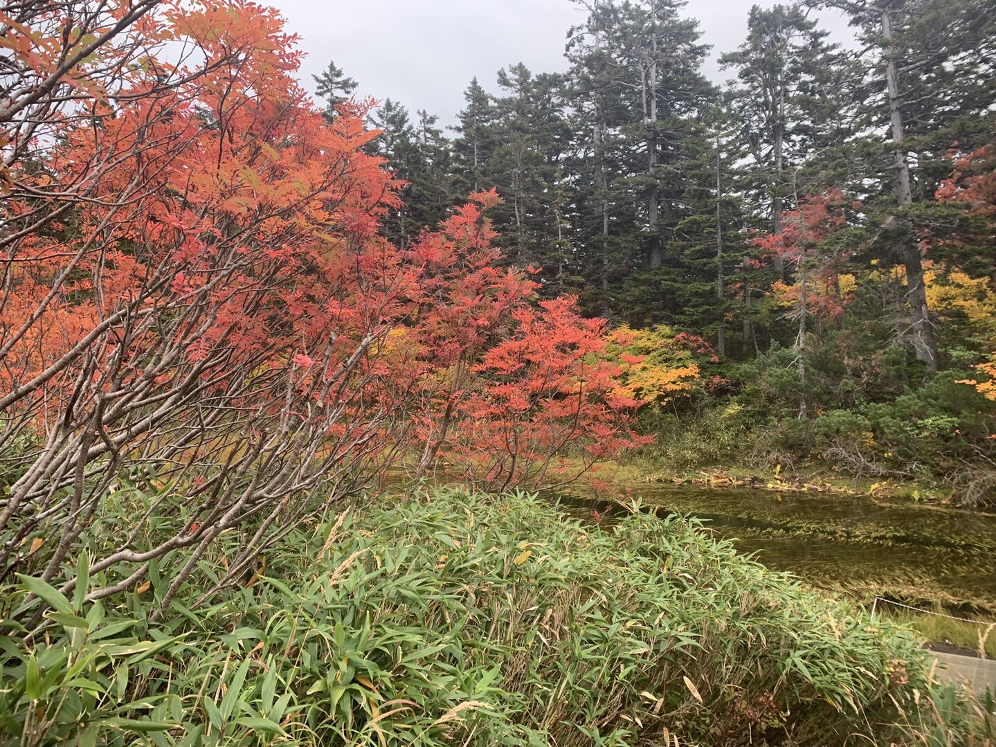 9月21日 高原沼の沼巡りをしてきました... / ni43さんのモーメント | YAMAP / ヤマップ