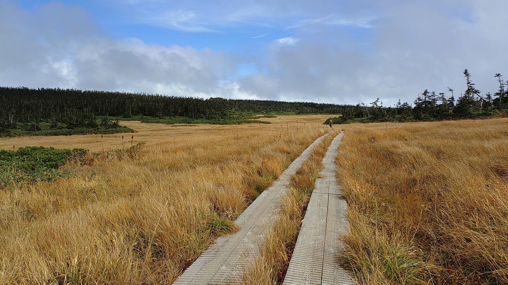 八幡平 | 草紅葉の中をのんびり山歩 / samiさんの八幡平・源太森・安比岳の活動データ | YAMAP / ヤマップ