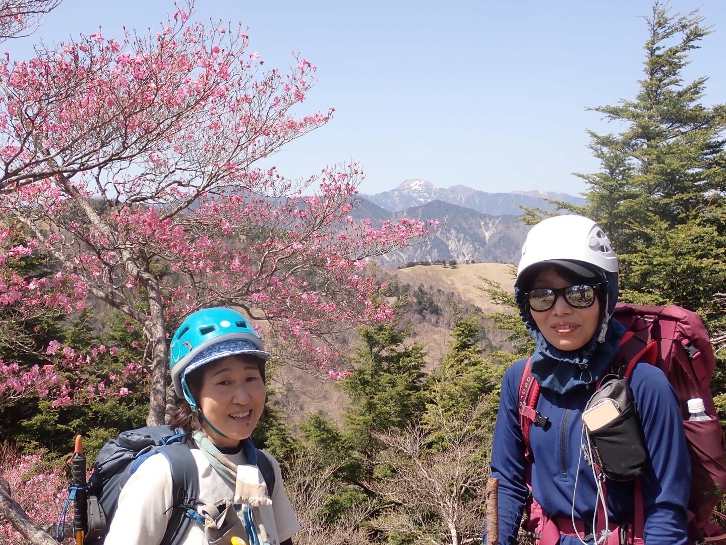 岩魚達とアカヤシオの偵察は逆回りで塔ノ峰へ / Tamamizuさんの社山・半月山の活動データ | YAMAP / ヤマップ