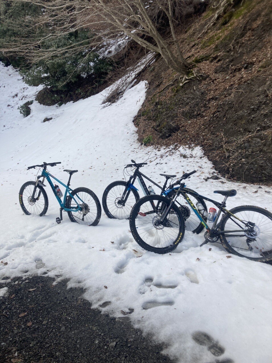 上石津 勝地林道 MTB / MJさんの霊仙山の活動日記 | YAMAP / ヤマップ