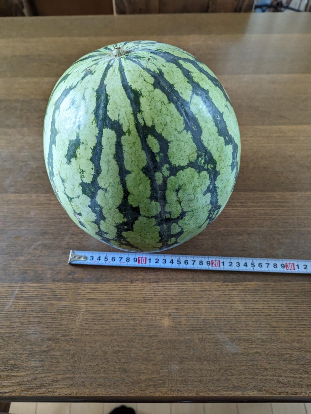 畑で大玉スイカ収穫しました🍉重量6.3... / j-saitohさんのモーメント | YAMAP / ヤマップ