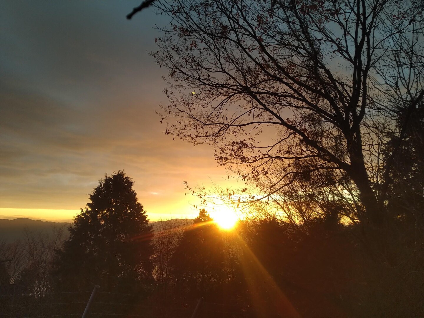 R5.1 尾張富士へ初詣 / yukisukeponさんの尾張富士・尾張本宮山・尾張白山の活動データ | YAMAP / ヤマップ