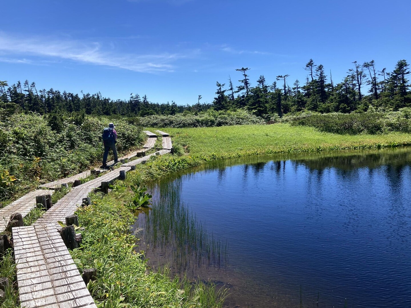 八幡平・源太森 / ikueさんの岩手山・八幡平・安比高原 50km トレイルの活動データ | YAMAP / ヤマップ