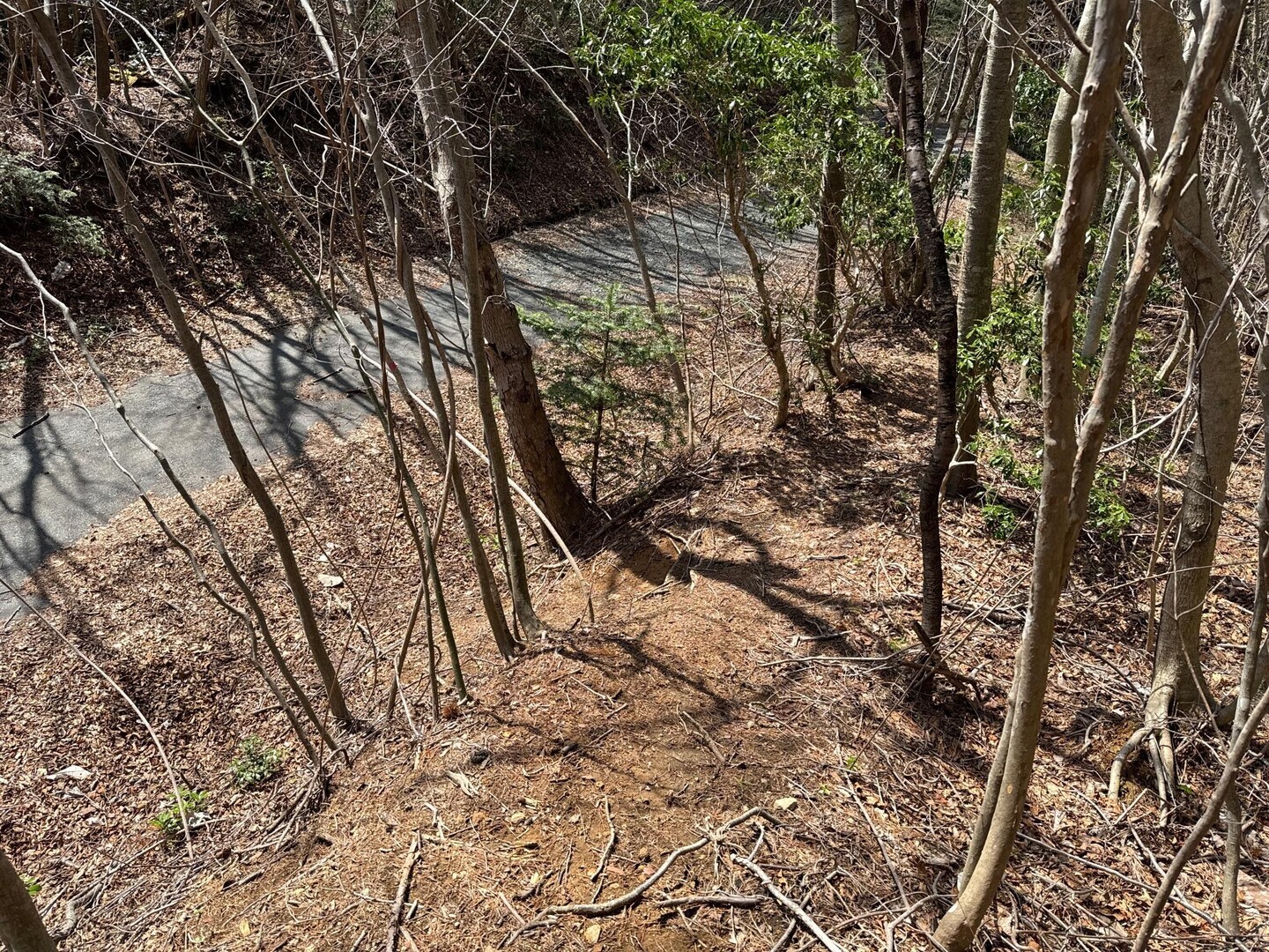 hamさんの投稿したフィールドメモ | YAMAP / ヤマップ