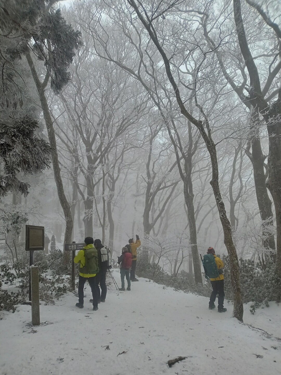 綿向山2️⃣ わたくし5合目ずっーと手... / yuusenさんのモーメント | YAMAP / ヤマップ