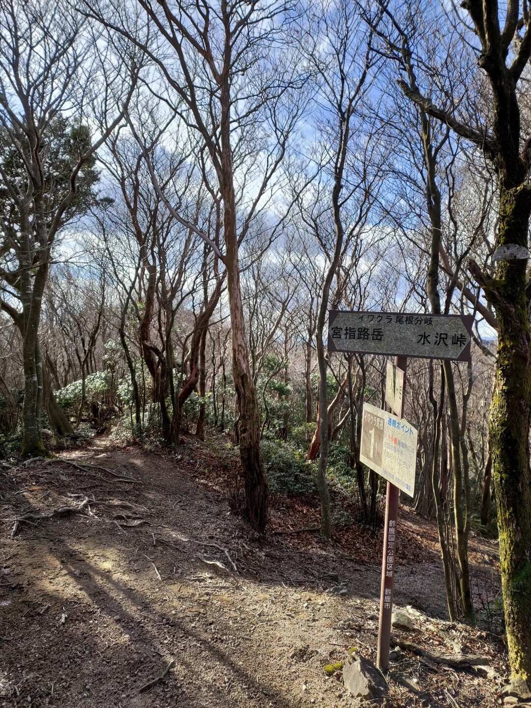 solaさんの投稿したフィールドメモ | YAMAP / ヤマップ