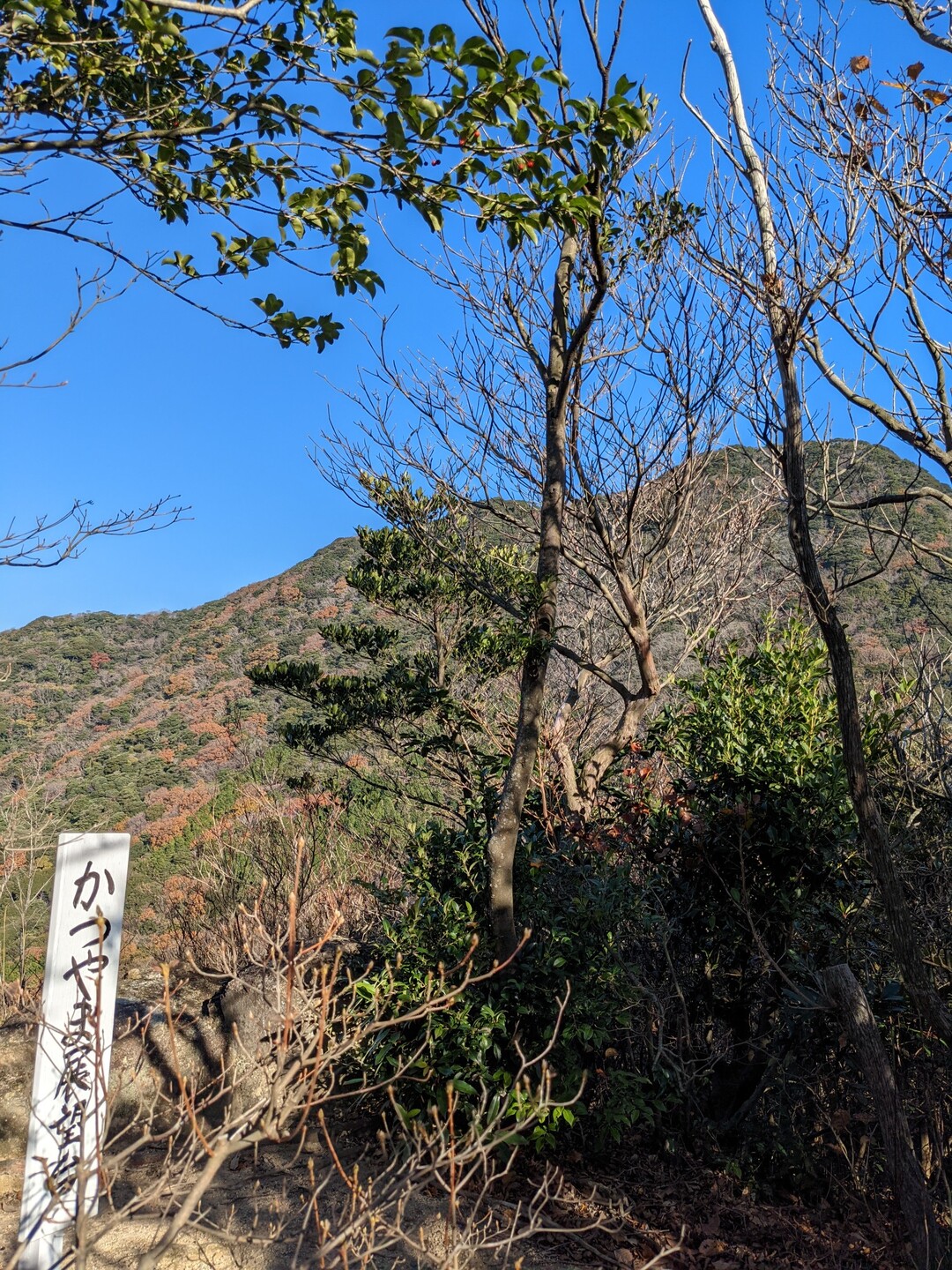 とみさんの投稿したフィールドメモ | YAMAP / ヤマップ