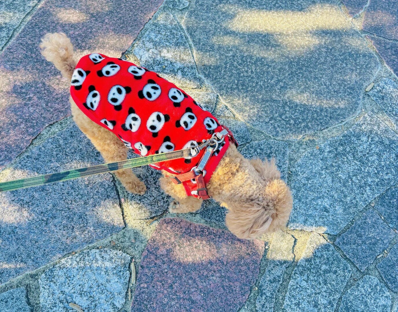 用足し途中に可児市ふれあいパークへ…🏃... / 夢子さんのモーメント | YAMAP / ヤマップ