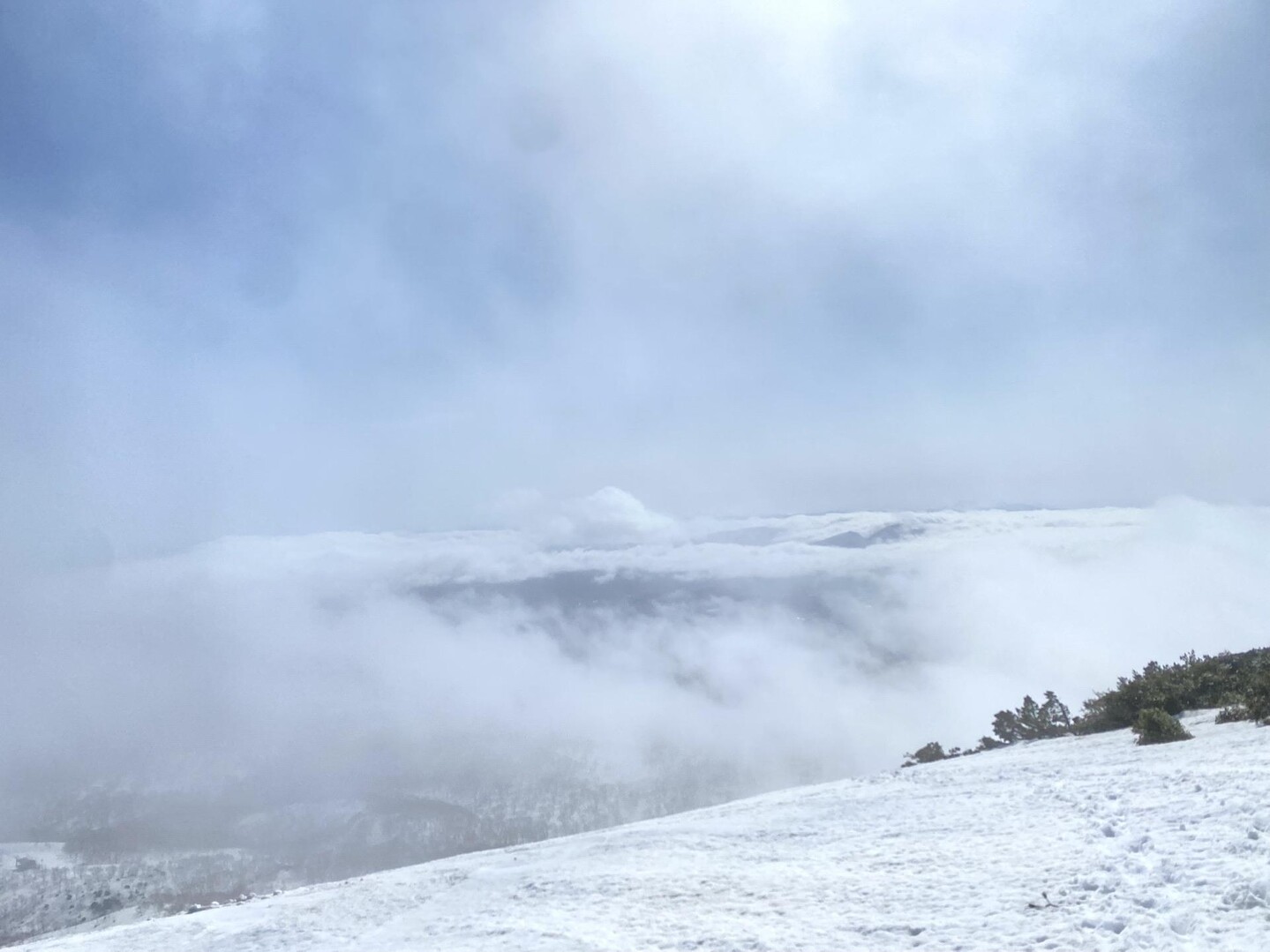 832m峰・チセヌプリ / つよさんのニセコアンヌプリ・イワオヌプリ・チセヌプリの活動データ | YAMAP / ヤマップ