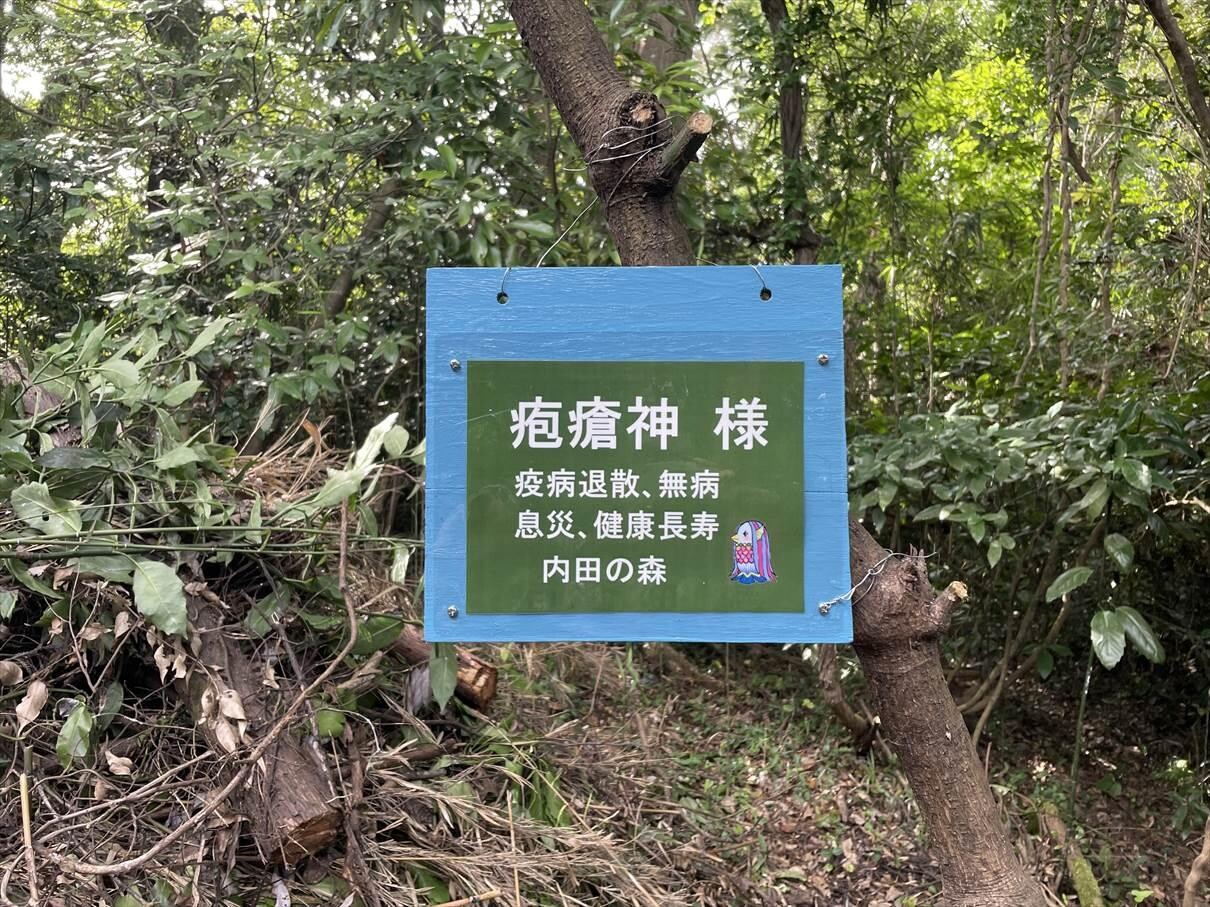 熱闘！ババノフトコロ～疱瘡神（市原米沢の森、内田の森） / うみすきさんの 米沢の森の活動日記 | YAMAP / ヤマップ