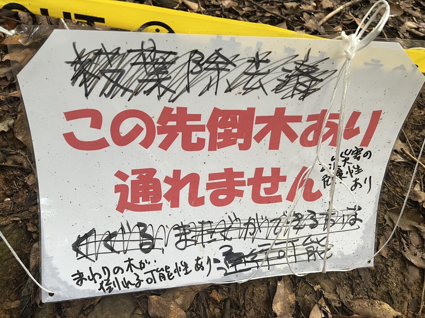 祝50回達成。 / FW16さんの立花山・三日月山・城ノ越山の活動データ | YAMAP / ヤマップ