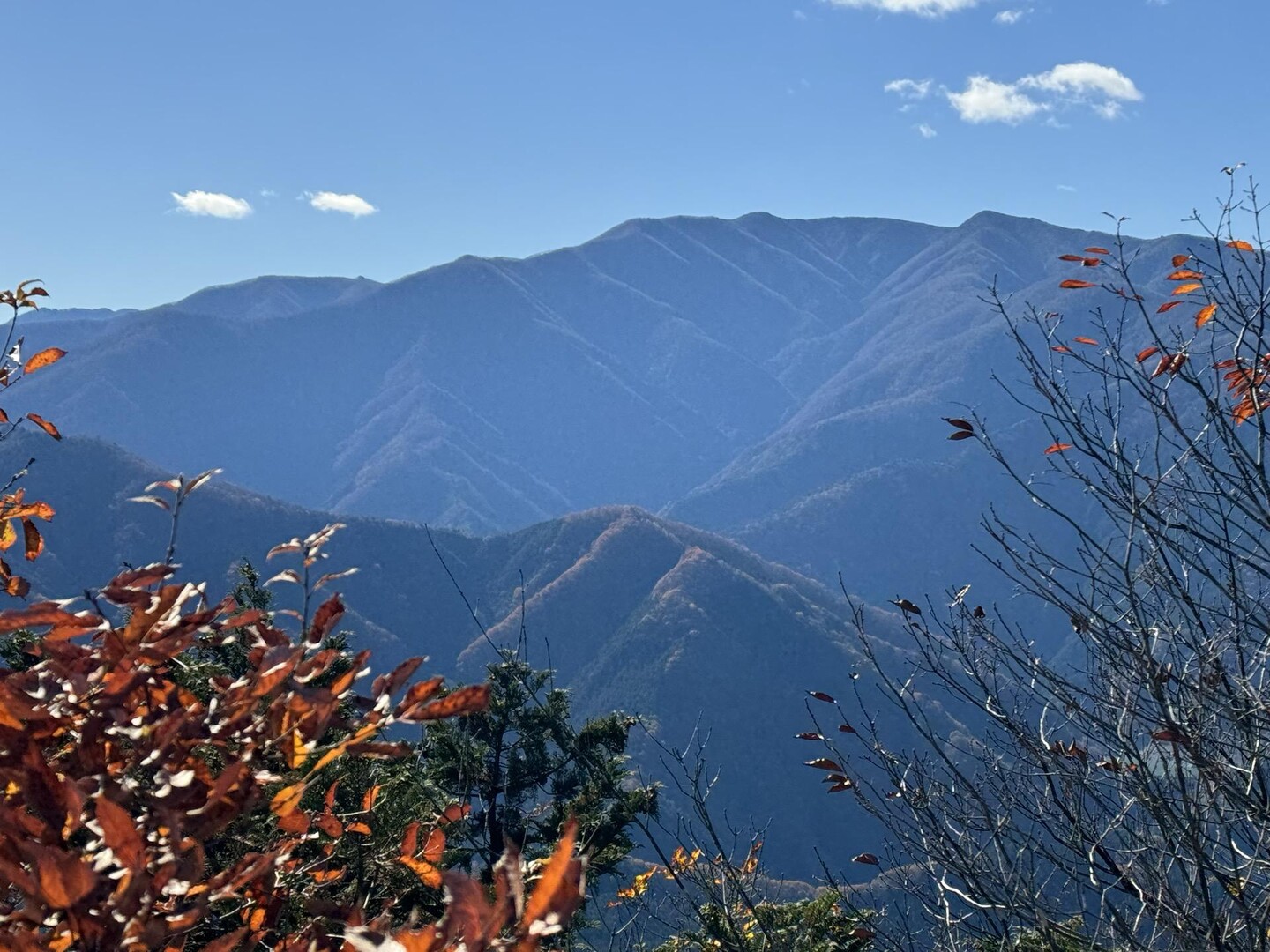 秩父御岳山 / KAY-Zさんの秩父御岳山・鞍掛山の活動データ | YAMAP / ヤマップ