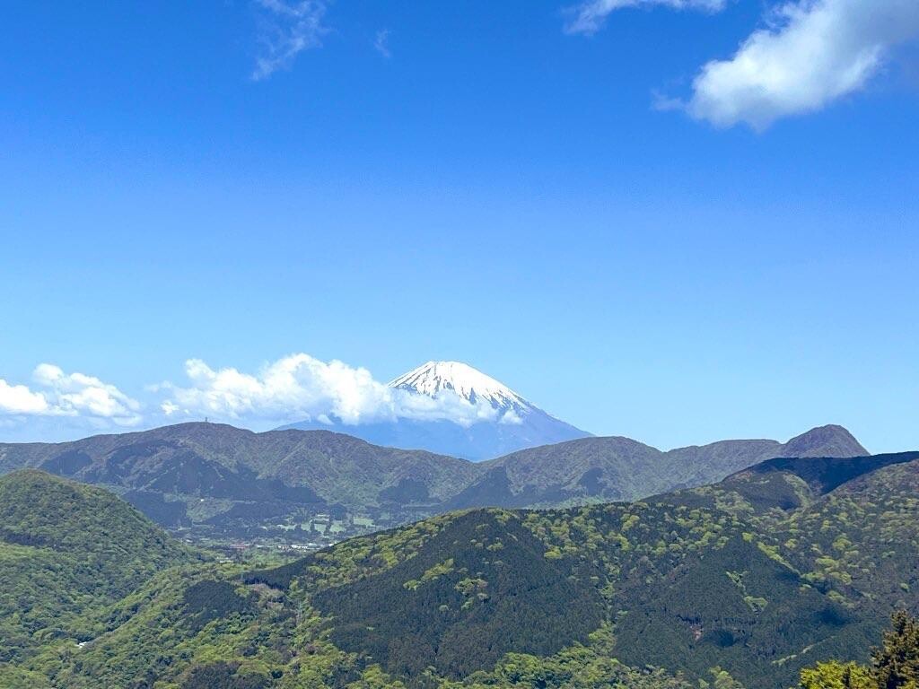 明星ヶ岳〜明神ヶ岳〜矢倉沢峠 / ekさんの金時山・明神ヶ岳の活動データ | YAMAP / ヤマップ