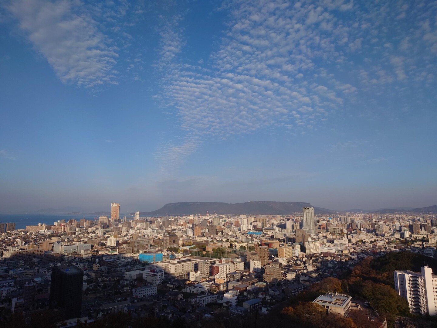 四国・香川・高松低山ぷらり / やまok!さんの石清尾山・浄願寺山・紫雲山の活動データ | YAMAP / ヤマップ