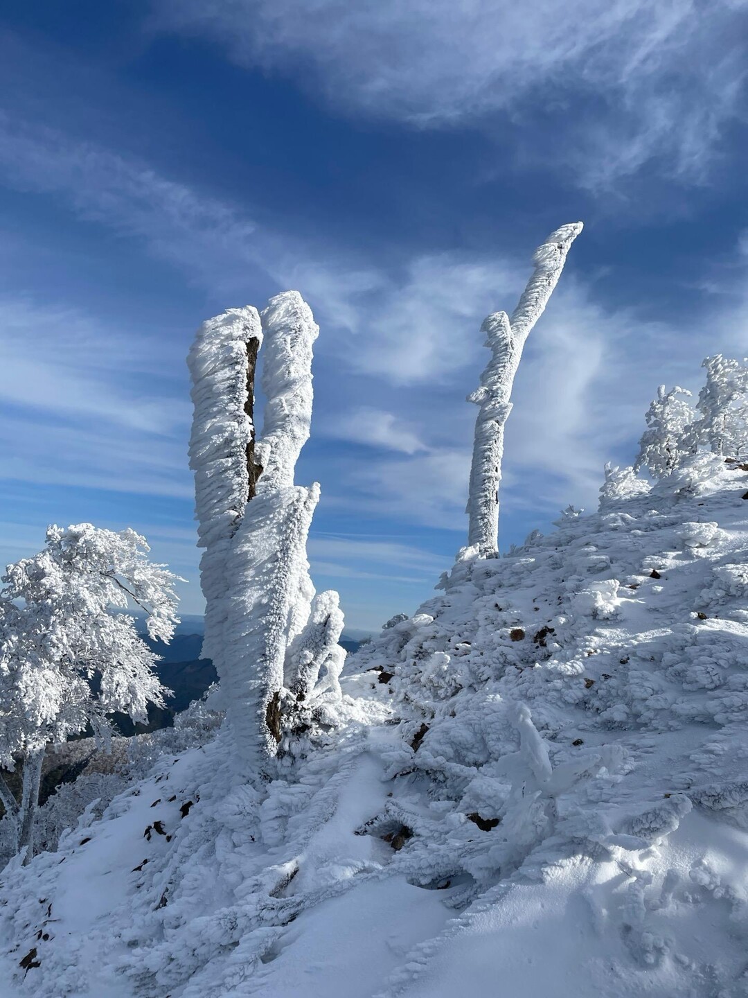 高見山雪山ウォーク / T1333さんの高見山・黒石山・天狗山の活動データ | YAMAP / ヤマップ