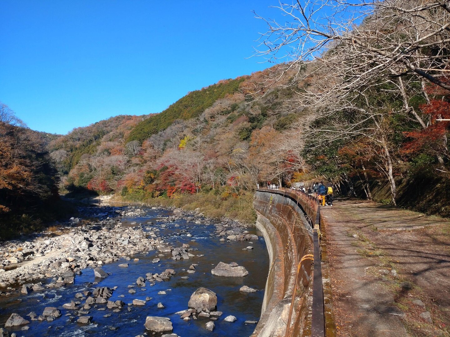 福知山線廃線敷！2023-11-26 / てっちゃんmk2@旅人さんの中山・大峰山の活動データ | YAMAP / ヤマップ