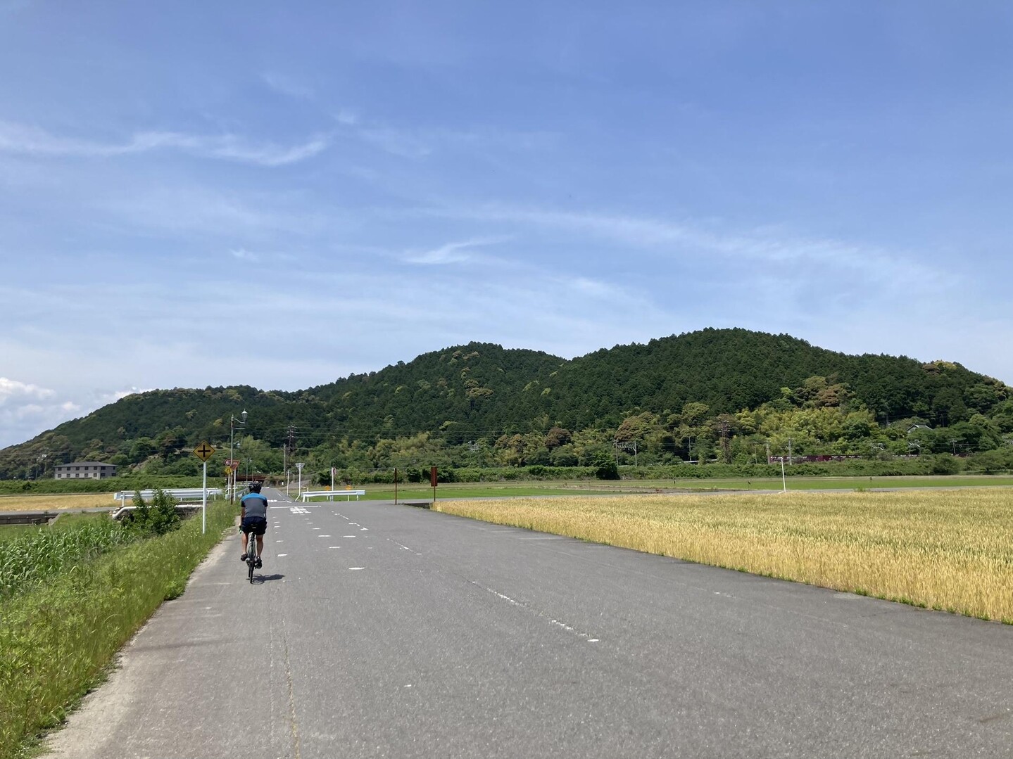 レーパンエクストリーム亀甲山(YAMAPの地図未記載) / podoryさんの雨壺山の活動データ | YAMAP / ヤマップ