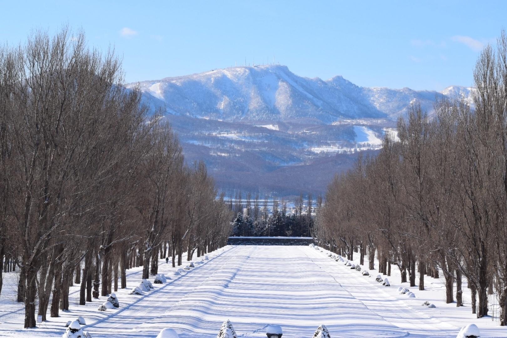 快晴の前田森林公園☀️ / minotさんの手稲山・奥手稲山の活動データ | YAMAP / ヤマップ