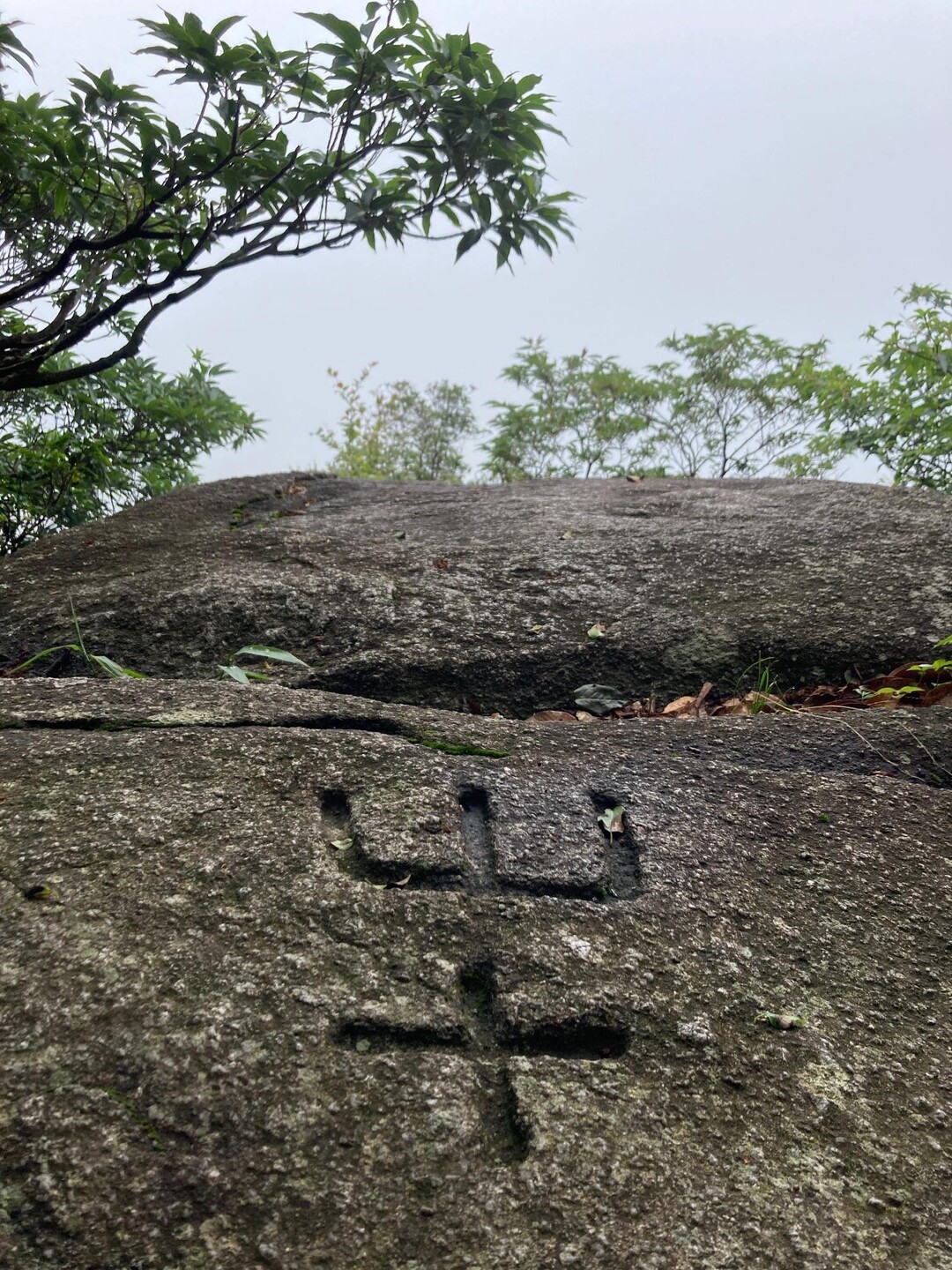 宝満山 R5.7.22 / としさんの宝満山・三郡山・若杉山の活動データ | YAMAP / ヤマップ