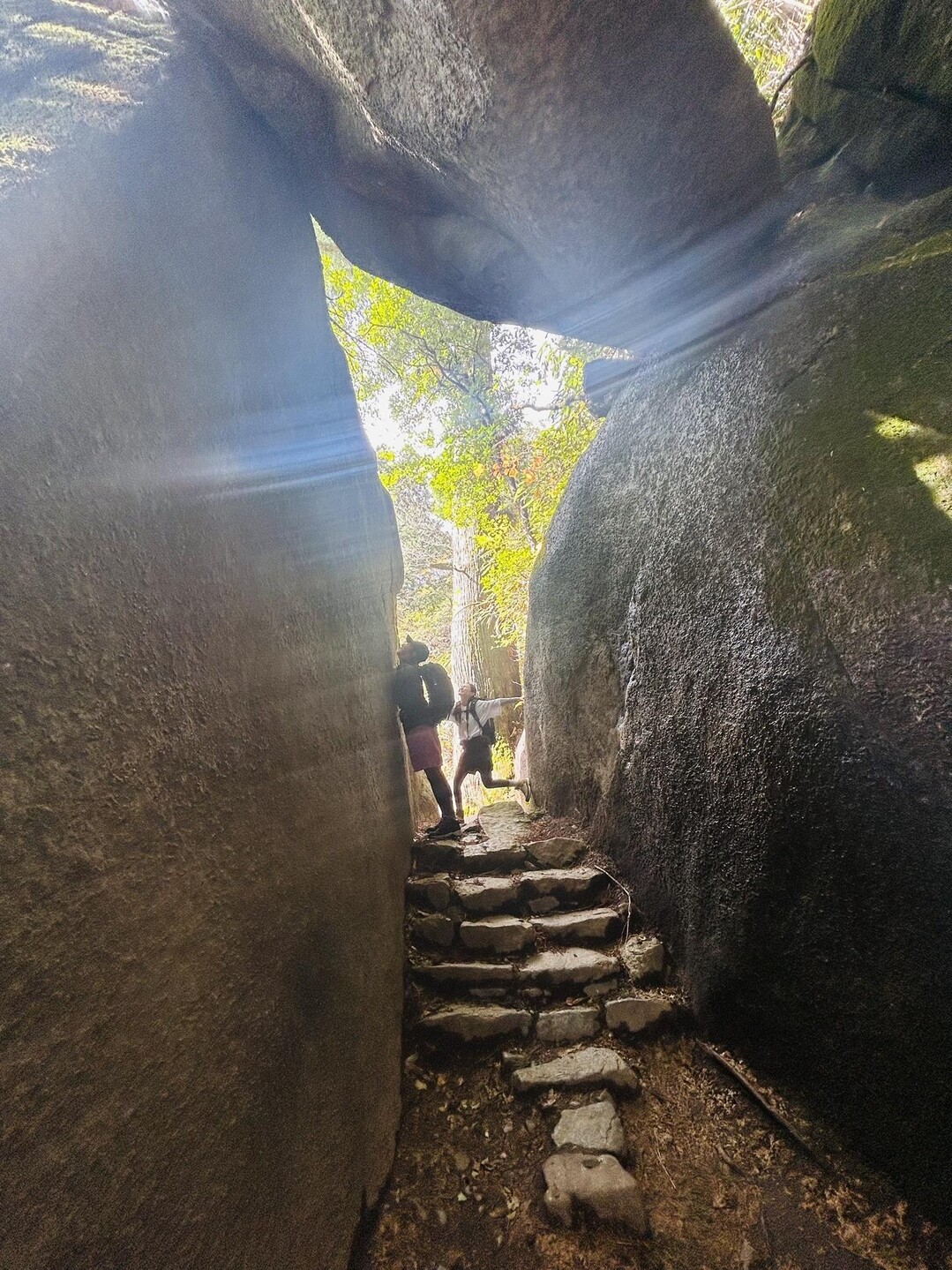 筑波山（女体山）・筑波山（男体山） / m. hiroさんの筑波山の活動データ | YAMAP / ヤマップ