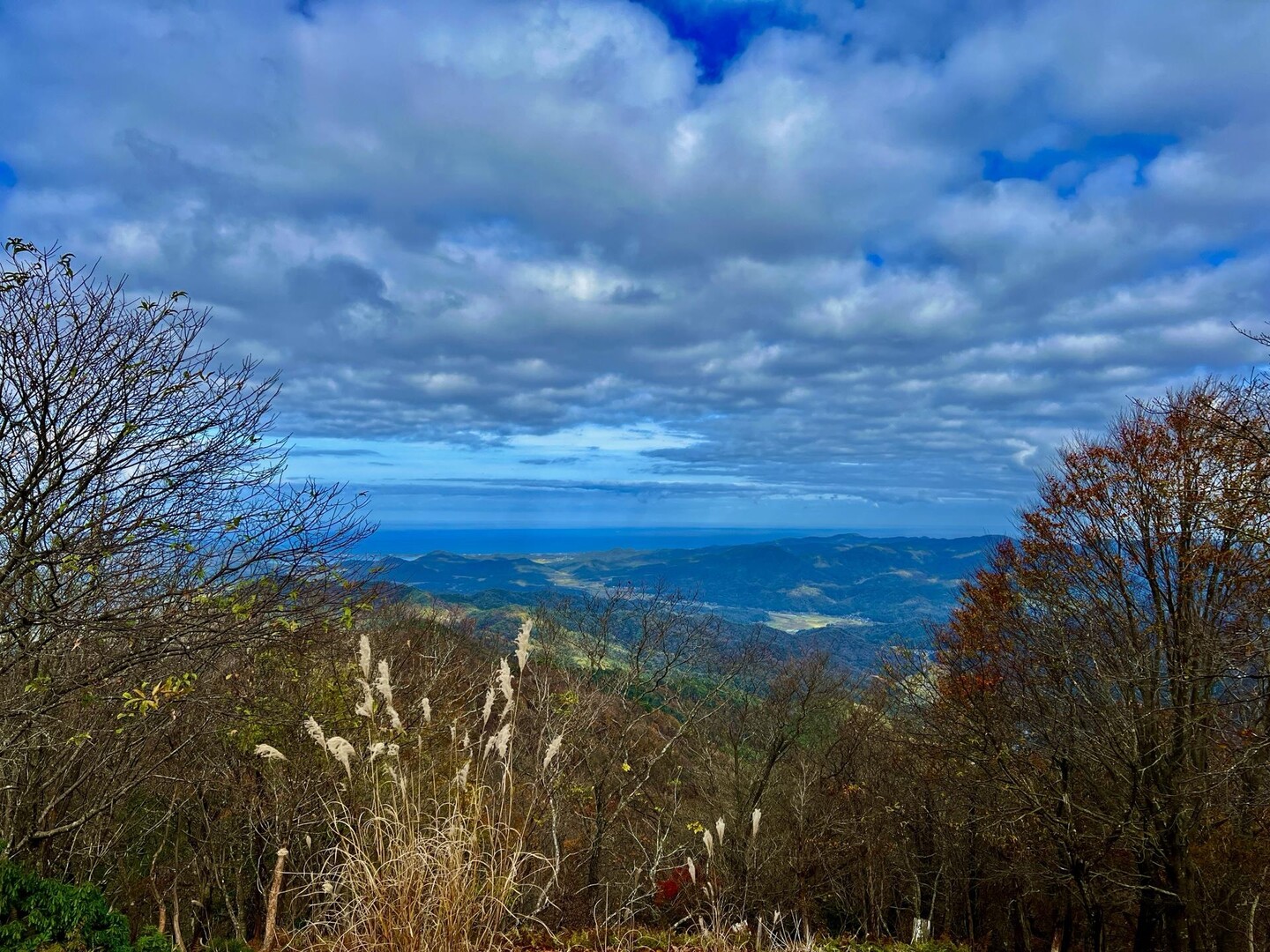 高竜寺ヶ岳 / KYOさんの高竜寺ヶ岳・法沢山の活動データ | YAMAP / ヤマップ