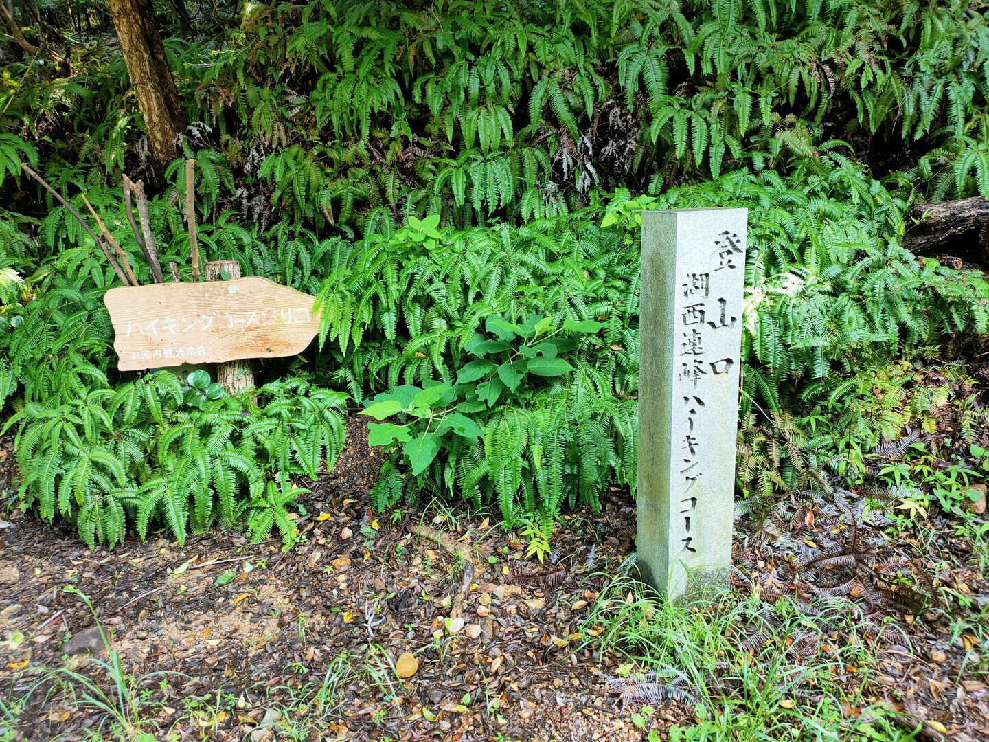 Mamincoさんの投稿したフィールドメモ | YAMAP / ヤマップ