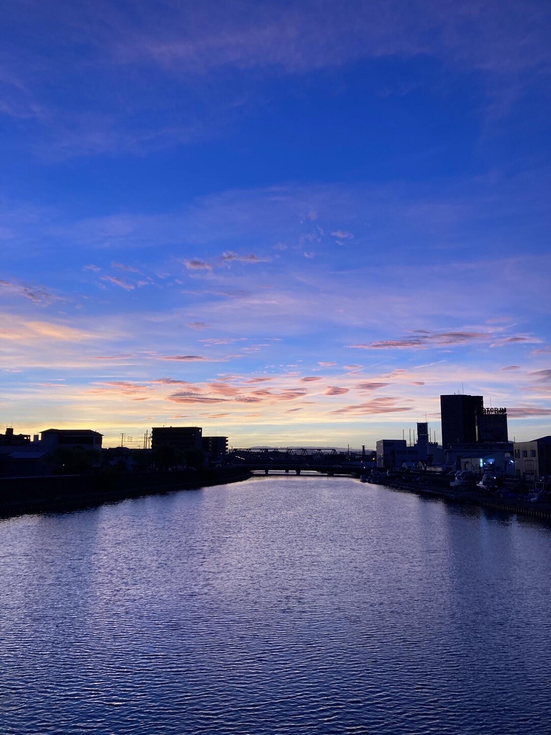 大泉緑地・大浜公園 〜朝ジョグ / bu-koさんの蘇鉄山の活動データ | YAMAP / ヤマップ