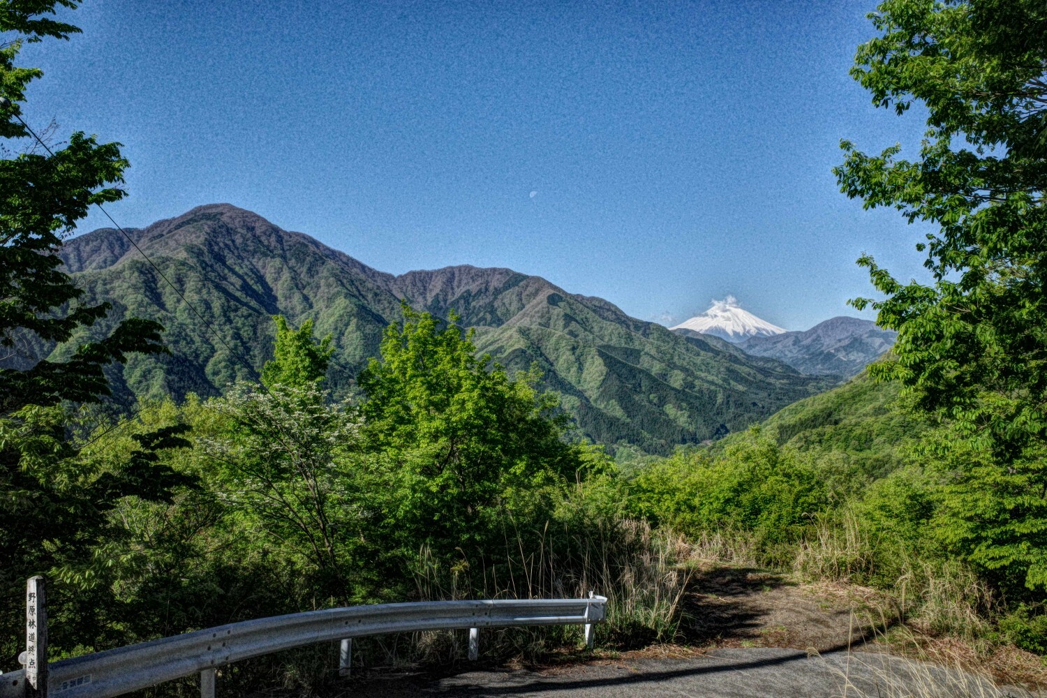 丹沢山-2021-05-02 / KAAZ さんの塔ノ岳・丹沢山・蛭ヶ岳の活動データ | YAMAP / ヤマップ