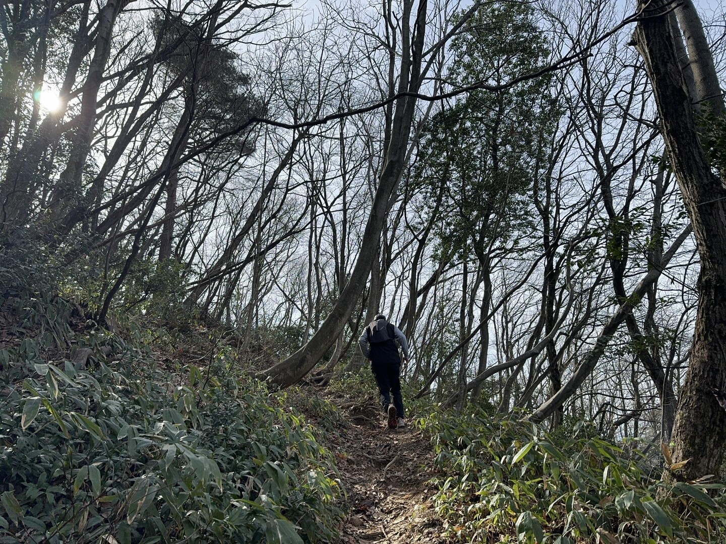 スキマ時間の1ヤリカン。 / NAOZOさんの遣水観音山・遊泉寺砂山・高野山の活動データ | YAMAP / ヤマップ