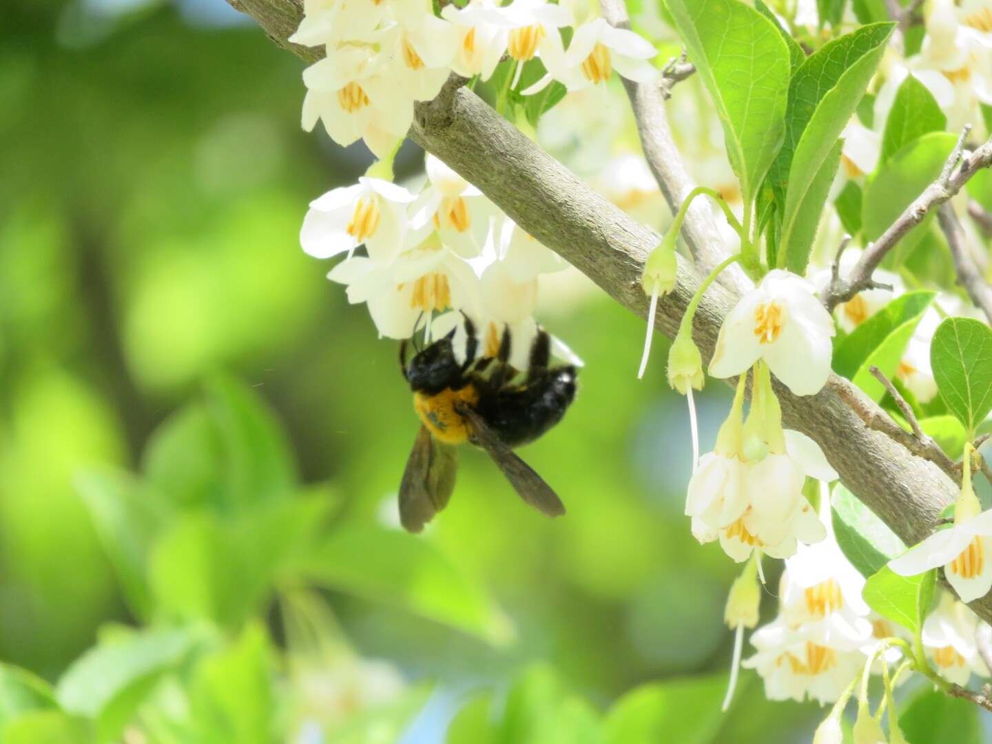 2021.06.07(月) 22:09 / ケロケロ🐸🐸🐸さんのモーメント | YAMAP / ヤマップ