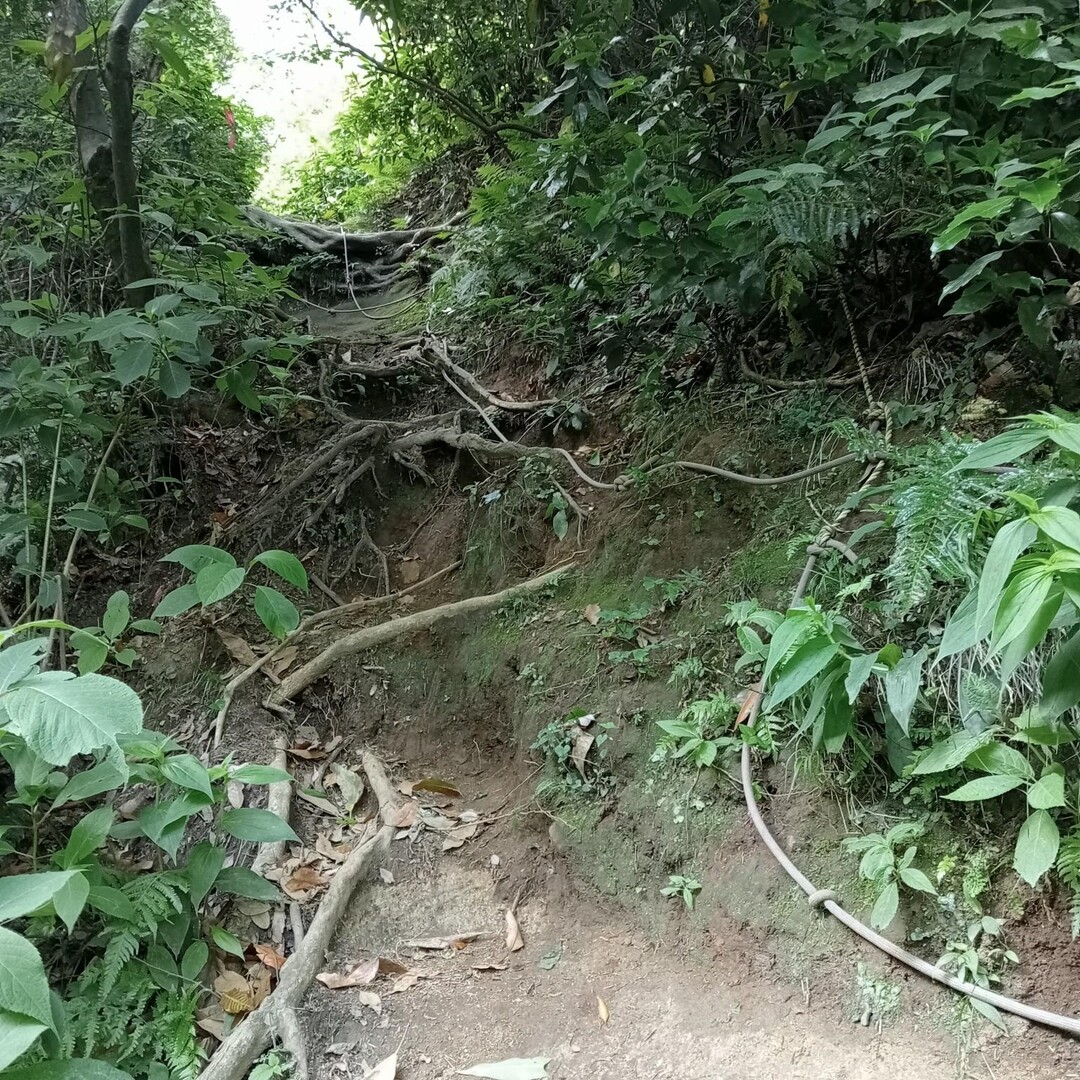 NORさんの投稿したフィールドメモ | YAMAP / ヤマップ