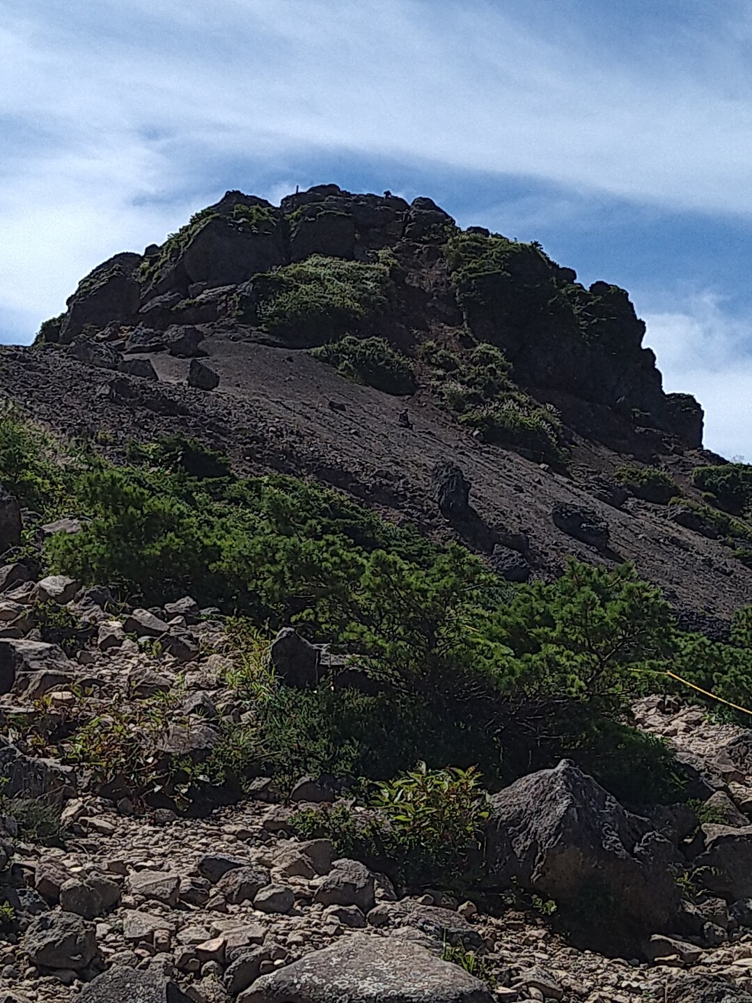 まなっPさんの投稿したフィールドメモ | YAMAP / ヤマップ