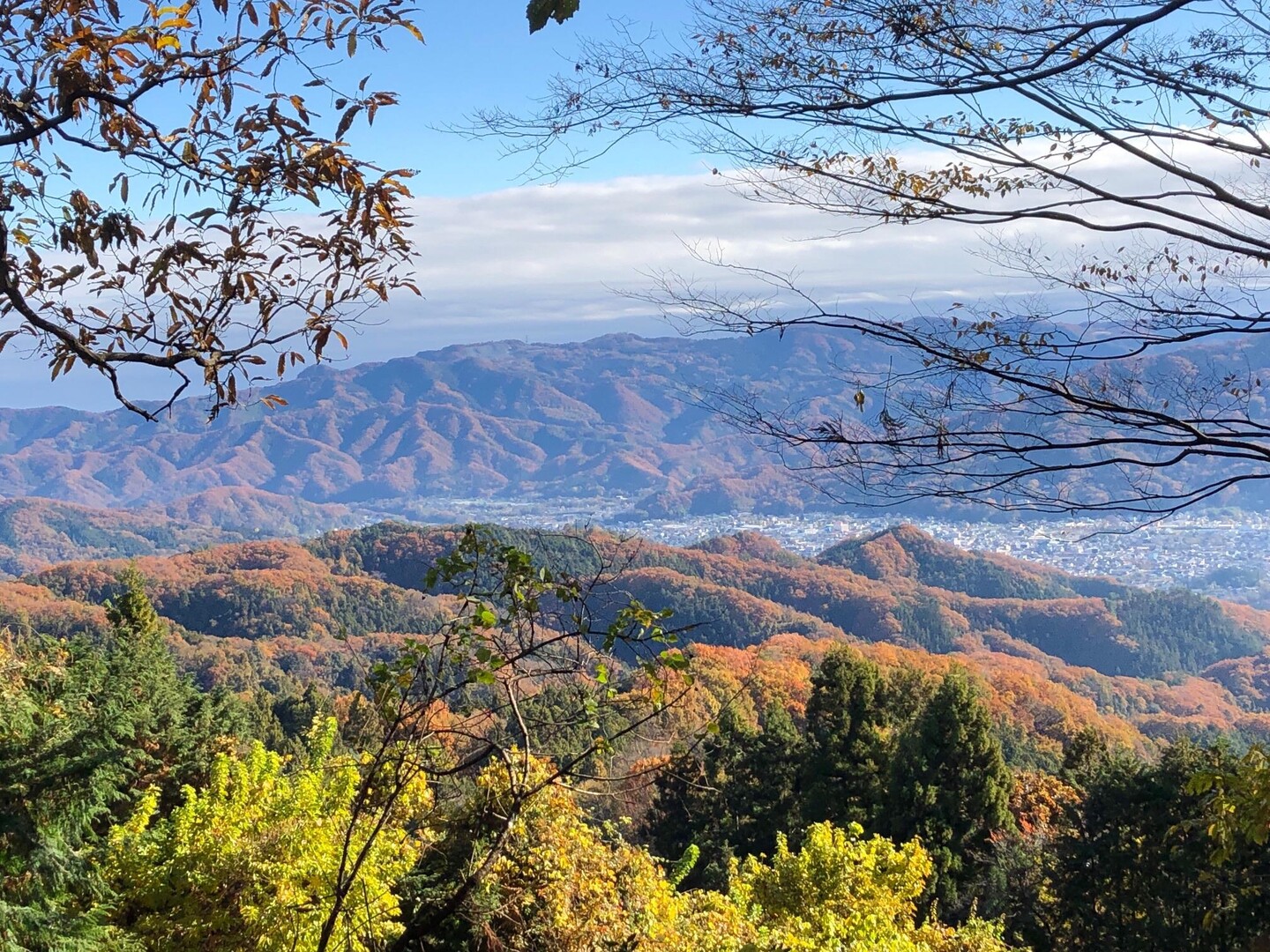 紅葉の破風山（高橋沢コース）〜水潜寺 / yhmgcさんの城峯山・破風山の活動データ | YAMAP / ヤマップ