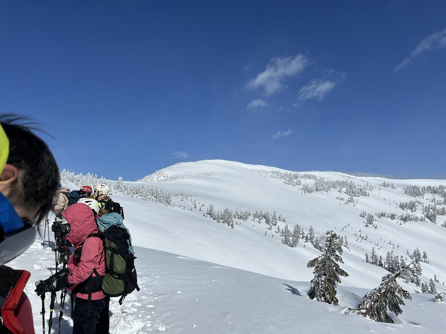 会津駒ヶ岳 ～晴れたけど往復スノーシューはキツかった…👢 / kaeruさんの会津駒ヶ岳の活動データ | YAMAP / ヤマップ