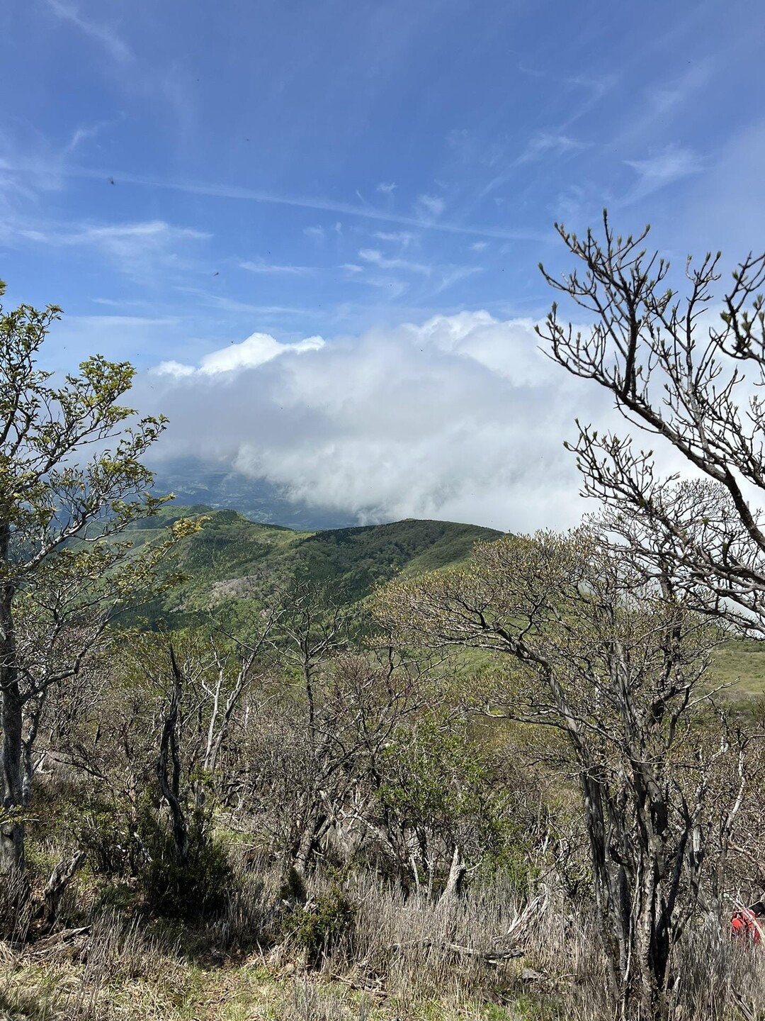 祖母山 / Ko-zyさんの祖母山の活動データ | YAMAP / ヤマップ