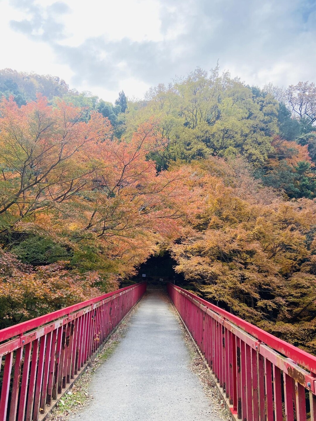 ちょっとだけ朝登山ウォーキング 生駒山・神津嶽・大原山-2023-12-03 / MASAEさんの生駒山・神津嶽・大原山の活動データ | YAMAP / ヤマップ