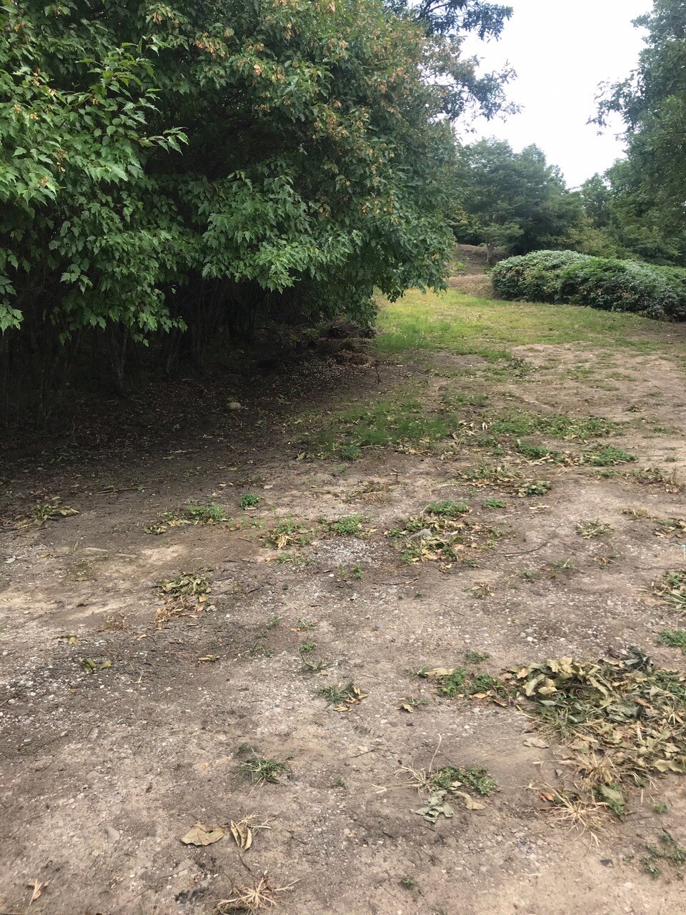 monamonaさんの投稿したフィールドメモ | YAMAP / ヤマップ