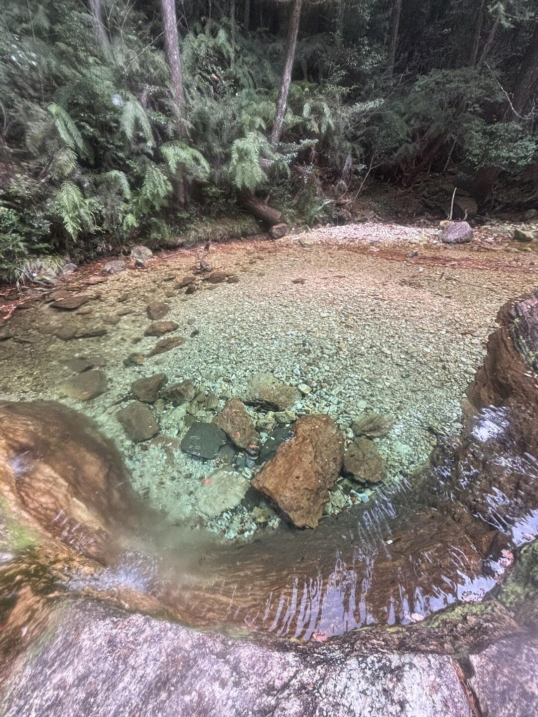明神山（三ツ瀬明神山） / kk_koro♌️さんの明神山（三ツ瀬明神山）の活動データ | YAMAP / ヤマップ