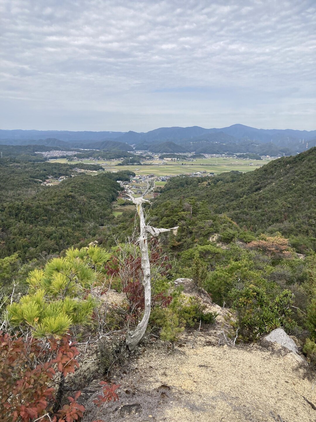 吉井山・釜山・鷹の巣山・加古山・白滝山・黒滝山・城山 / cbmdさんの黒滝山・白滝山の活動日記 | YAMAP / ヤマップ