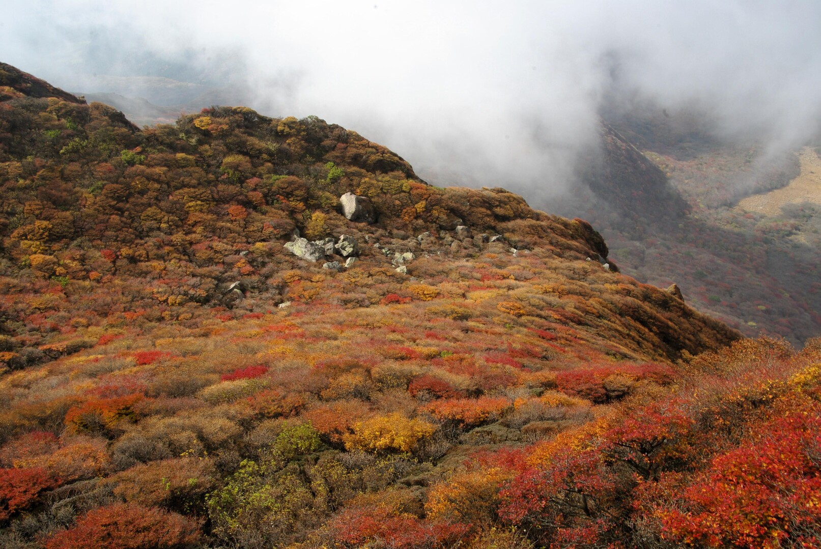 三俣山（西峰・本峰・Ⅳ峰）・大船山・北大船山 / kbさんの九重山（久住山）・大船山・星生山の活動データ | YAMAP / ヤマップ