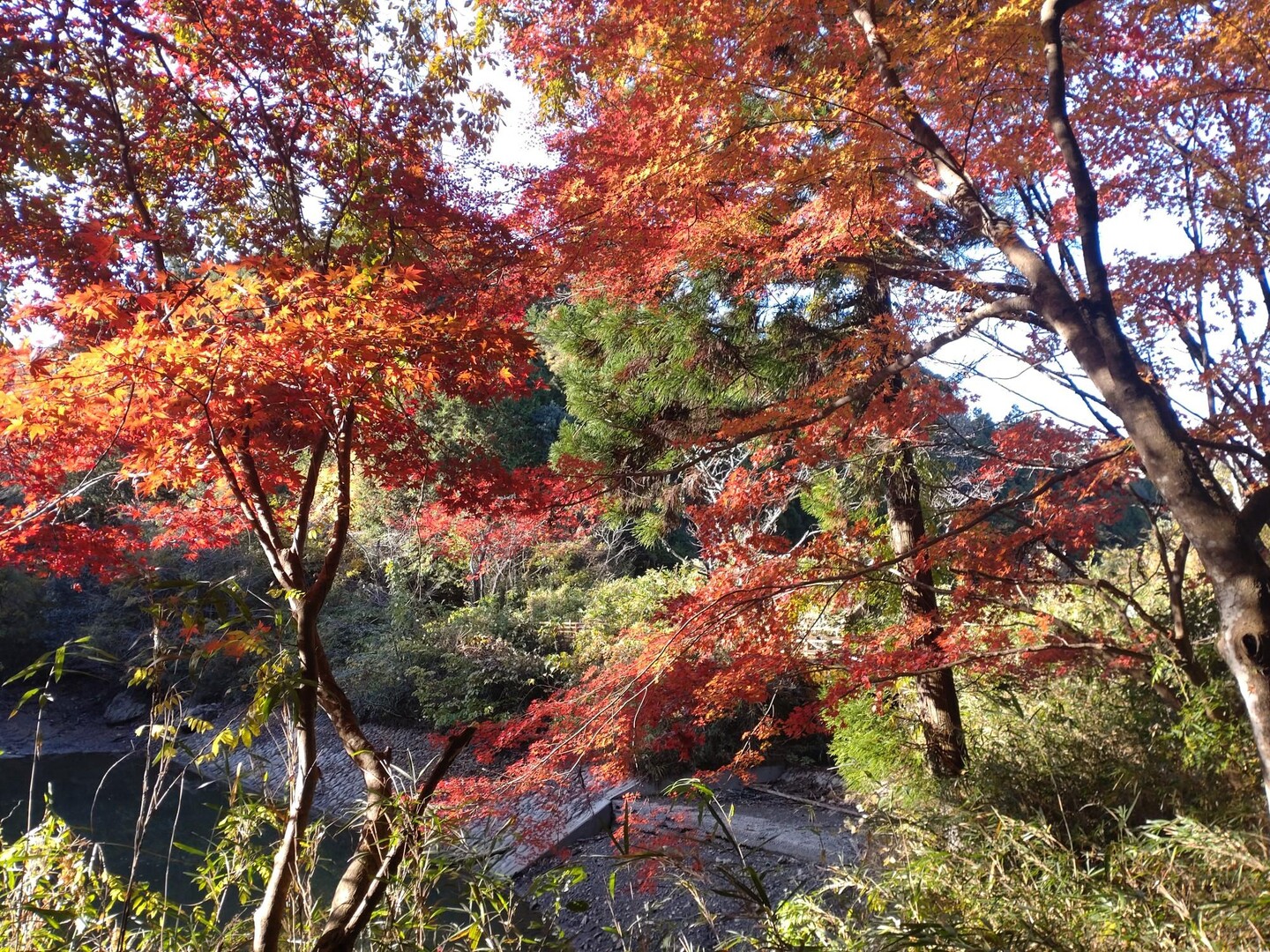 古城山 / hsysさんの古城山の活動データ | YAMAP / ヤマップ