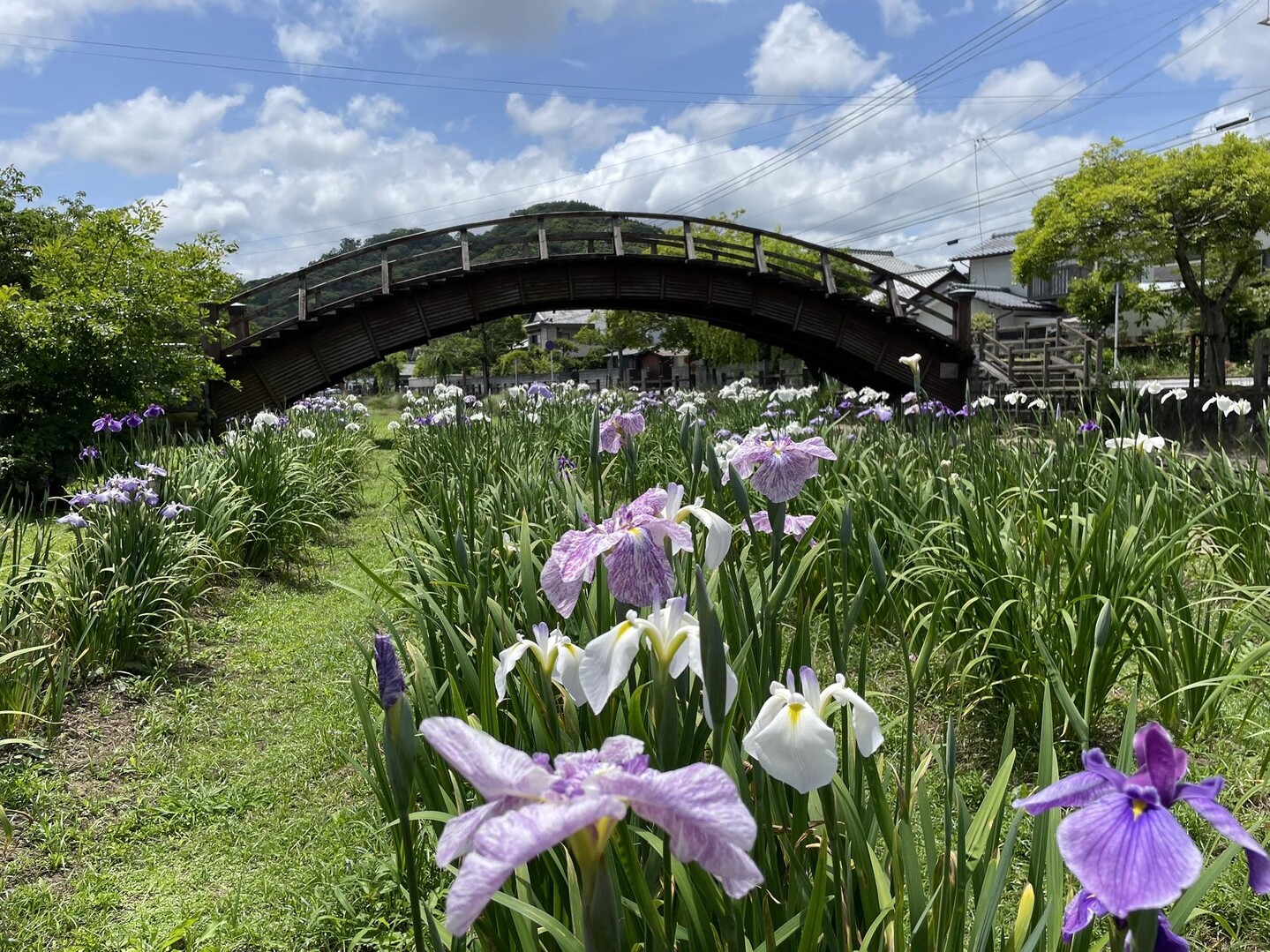 肺に持病がある為、なるべく人の少ない日や... / GGファルカンさんのモーメント | YAMAP / ヤマップ